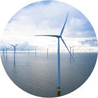 Marri Wind Farm: About us